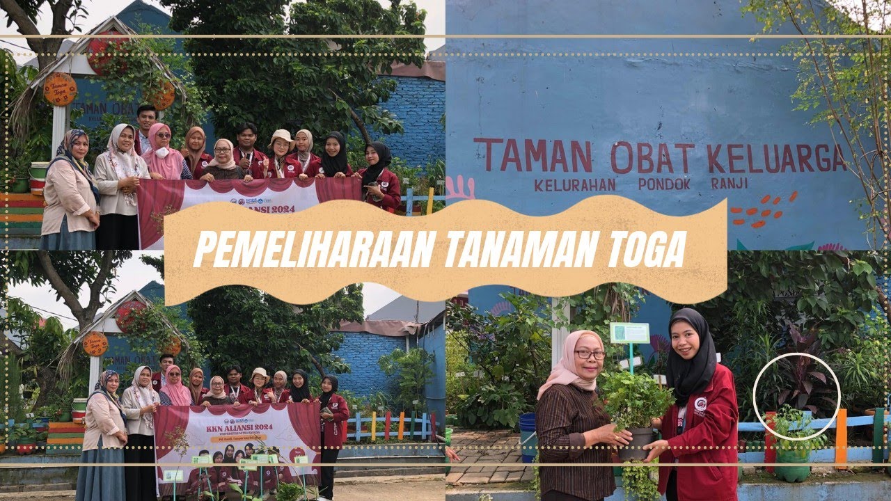 Pemeliharaan Tanaman TOGA | Tanaman Obat Keluarga untuk Hidup Sehat ...