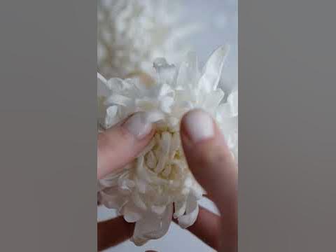 Flower Asmr | ASMR Satisfying | Smooth ASMR - YouTube