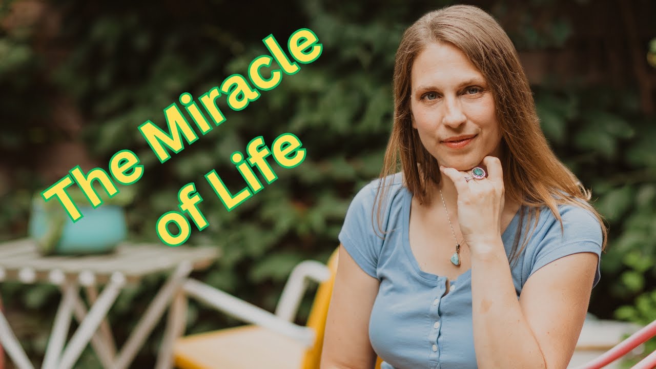 Making sense of life and how to create deeper fulfillment - YouTube