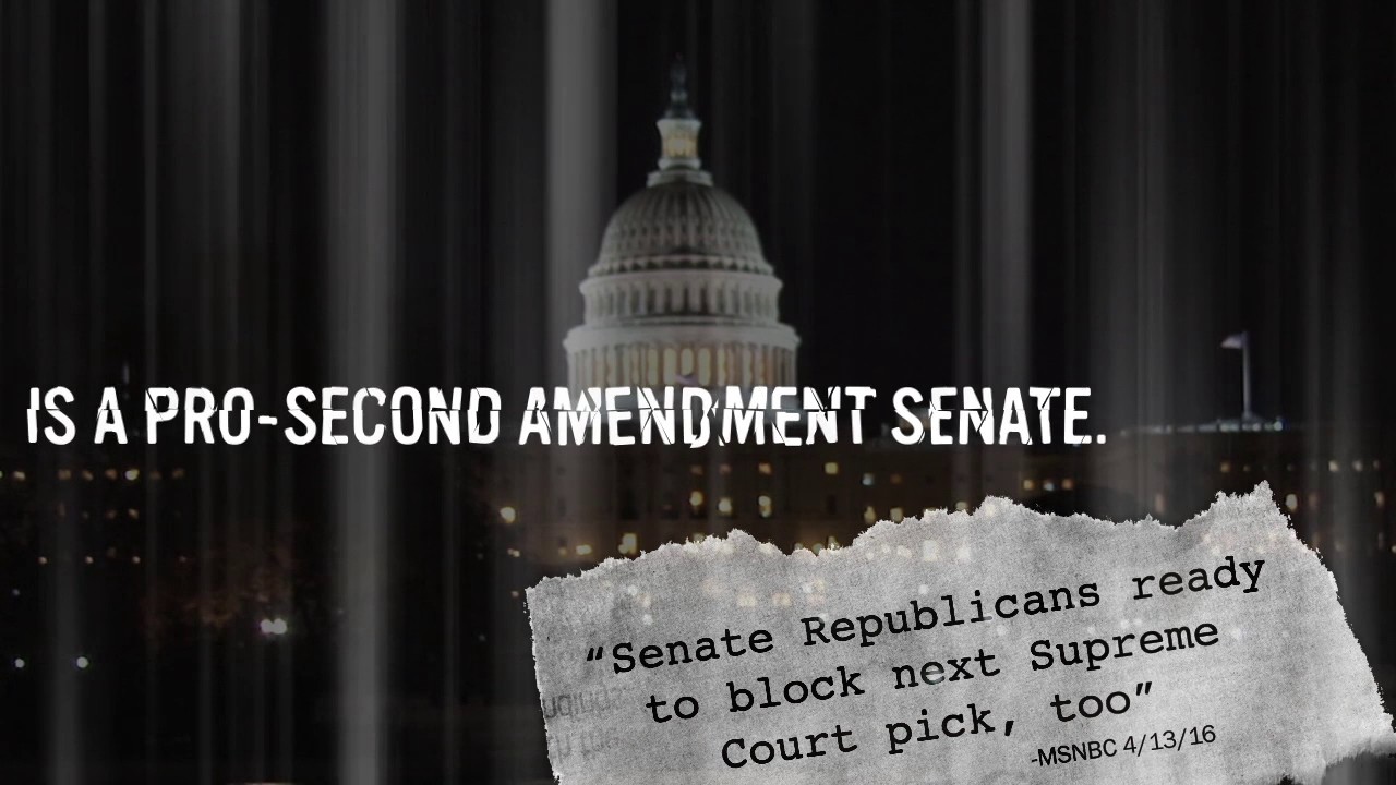 Save the Senate. Save the Second. Vote Ron Johnson. - YouTube