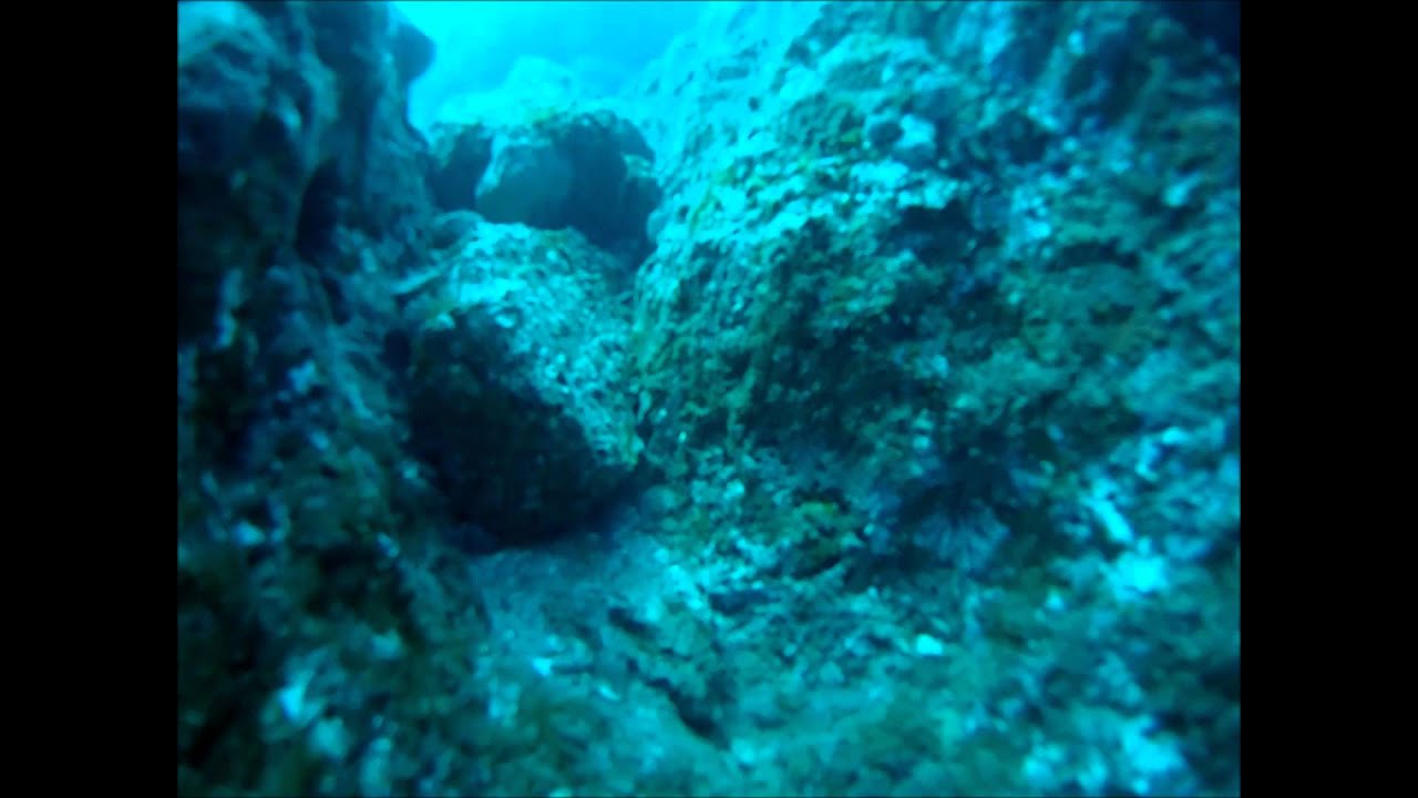 GoPro - Scuba Diving - Flower Gardens/Stetson Bank - YouTube