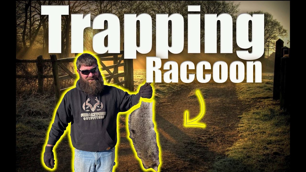 Trapping Raccoons!! (DOG PROOF TRAPS!!) - YouTube