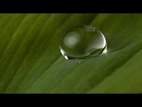 Rain Nature WhatsApp Status video 2022🌈🌈|Short 30 Secs|HD New Nature Love Background Video to Relax