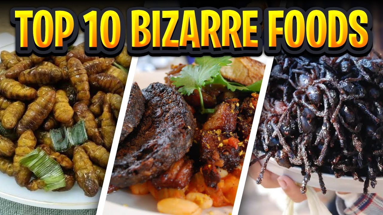 Top 10 Bizarre Dishes from Around the Globe - YouTube