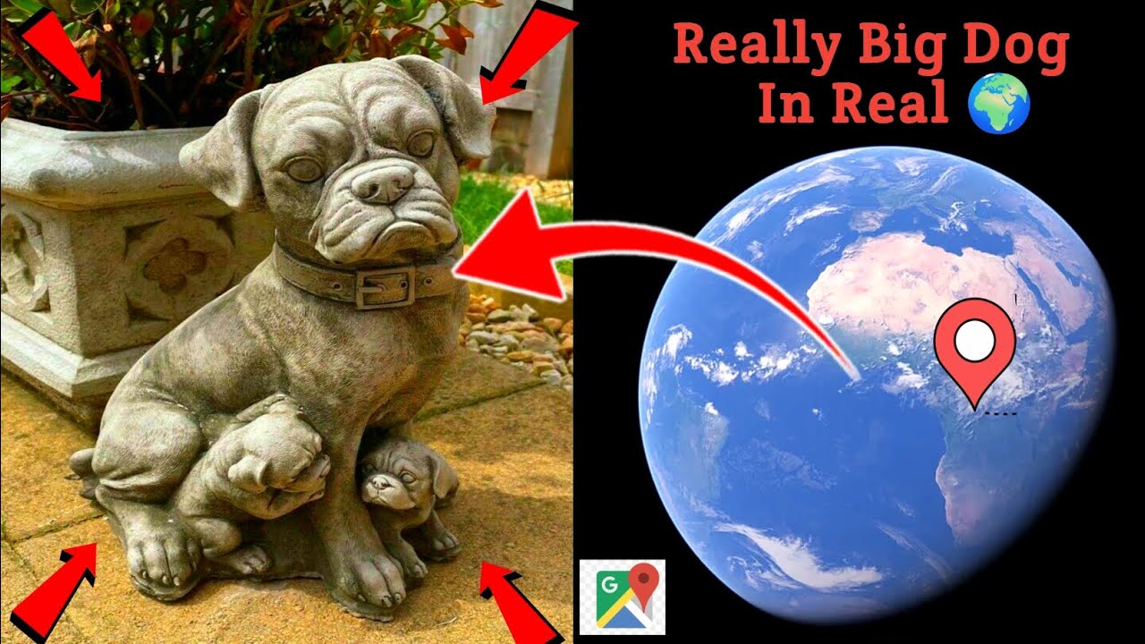 I Found 🫠Really Big Dog 🐕 In Real On Google Old Earth maps # ...