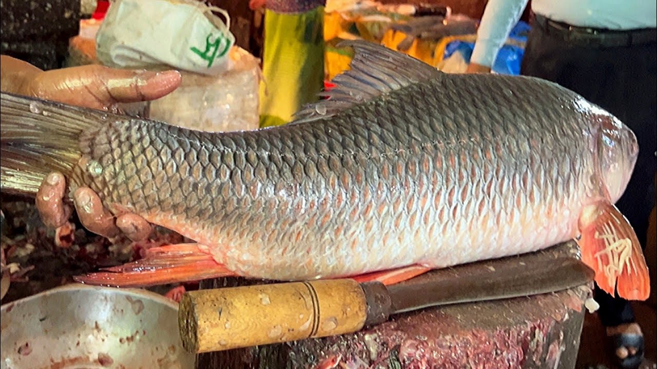 Amazing Big Rohu Fish Cleaning & Chopping By Expert Fish Cutter In ...