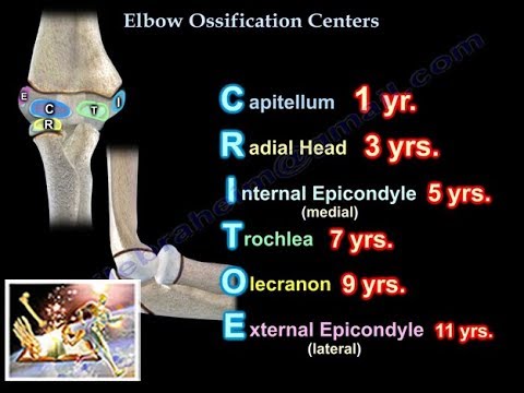 Elbow Ossification Centers - Everything You Need To Know - Dr. Nabil ...