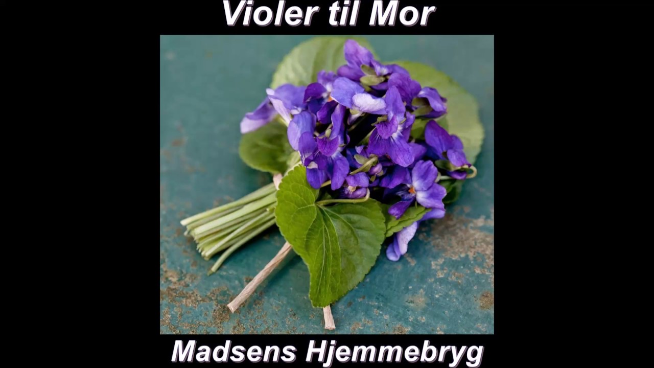 Violer til Mor. - YouTube