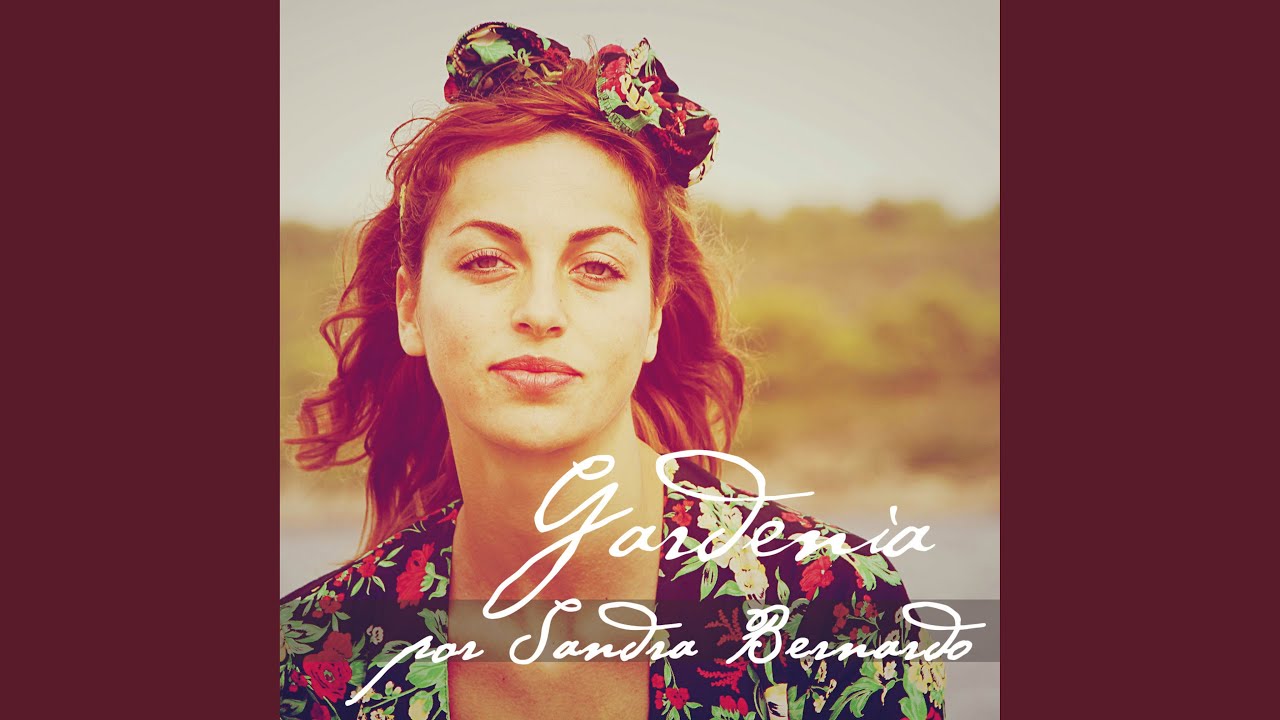 Lola Youtube