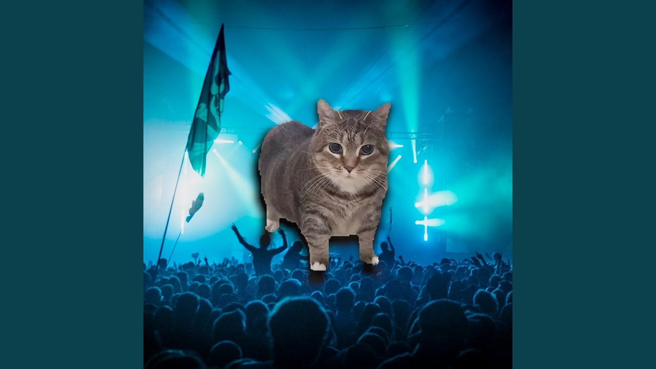 OIIA CAT - Kenzi: letra, videos musicales y conciertos