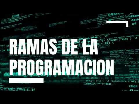 RAMAS DE LA PROGRAMACION - YouTube