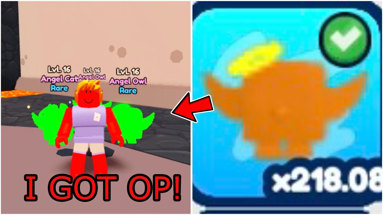 GOING FROM NOOB TO MASTER IN PET STAR! Roblox - YouTube