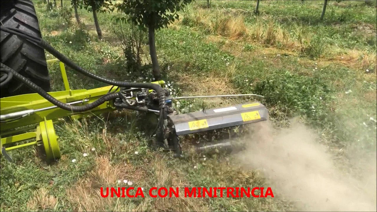 UNICA JOLLY CALDERONI Inter-row machine for mechanical weeding in ...