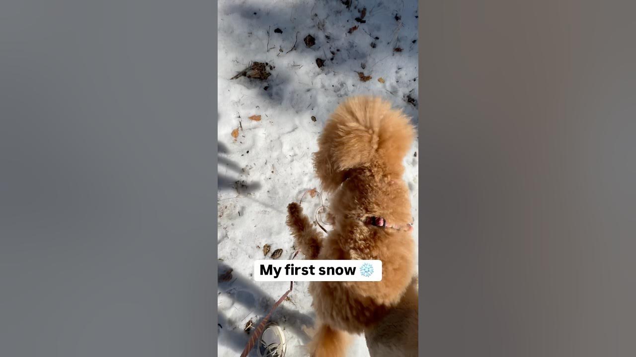 I see snow first time!! - YouTube