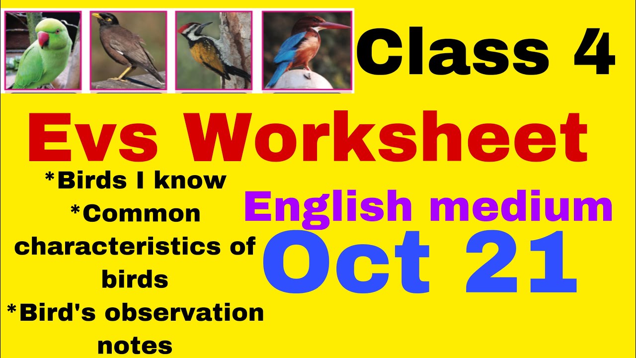 Class 4 EVS Worksheet Oct 21/Kite Victers Std 4 Evs Worksheet 21/10/20 ...