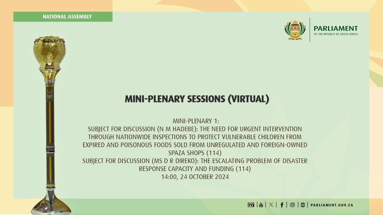 MINI-PLENARY 1 (Virtual), 24 October 2024 - YouTube