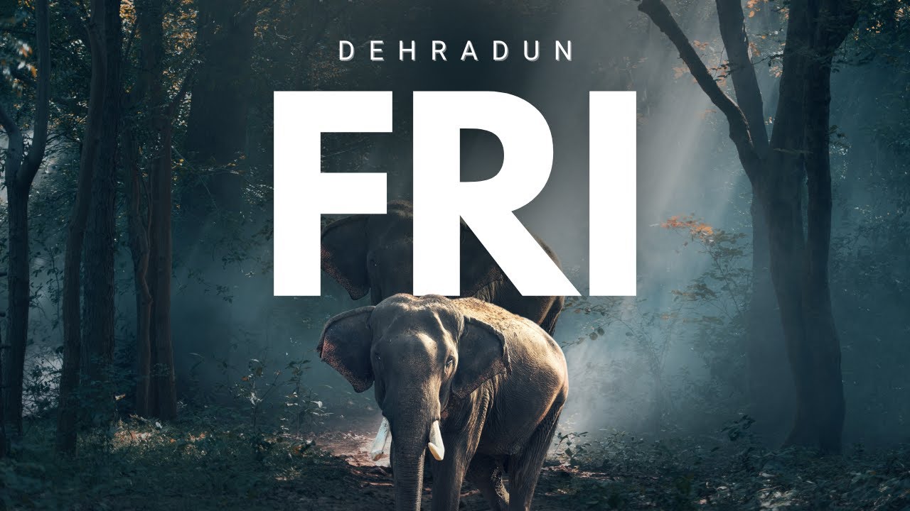 FRI Dehradun | Uttarakhand - YouTube