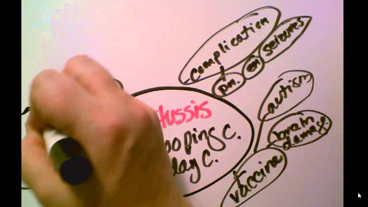 Creating A Concept Map YouTube Creating A Concept Map YouTube