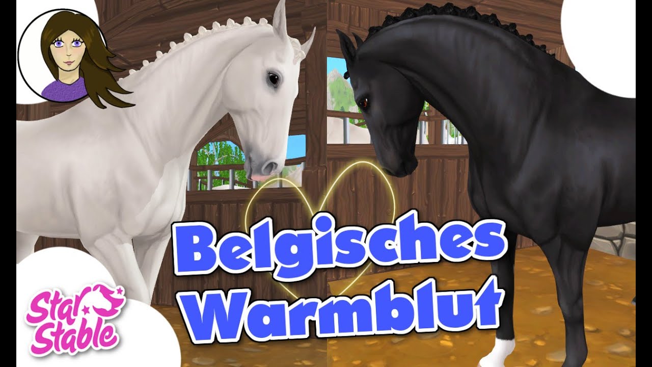 Das Belgische Warmblut ist da! 💕 STAR STABLE ONLINE NEWS - YouTube
