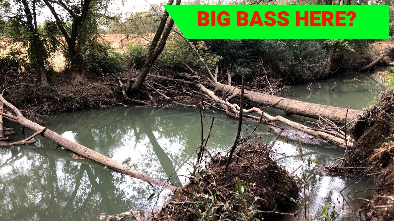 Muddy Log Jammed Creek Bass Fishing (EXCITING OF COURSE!!) - YouTube