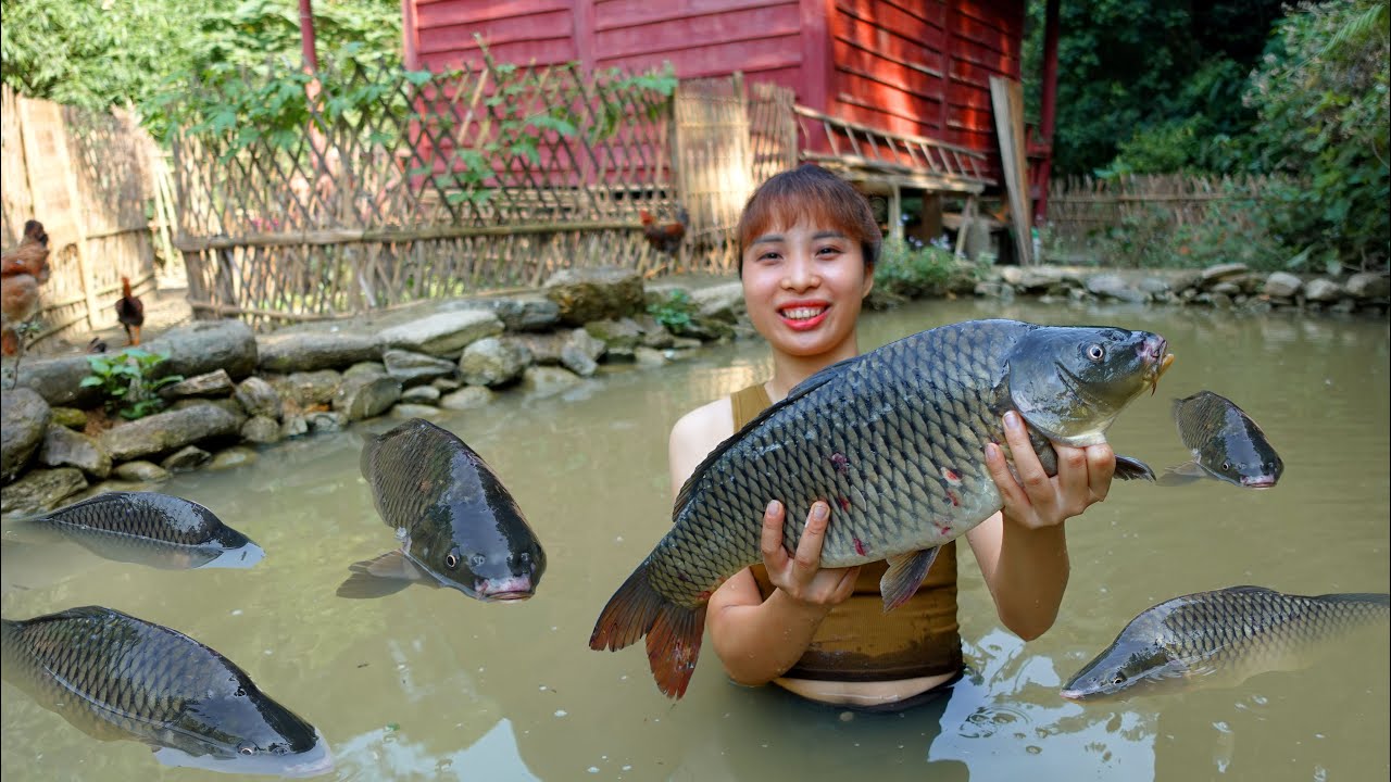 Full Video : The whole process of building, growing and harvesting ...