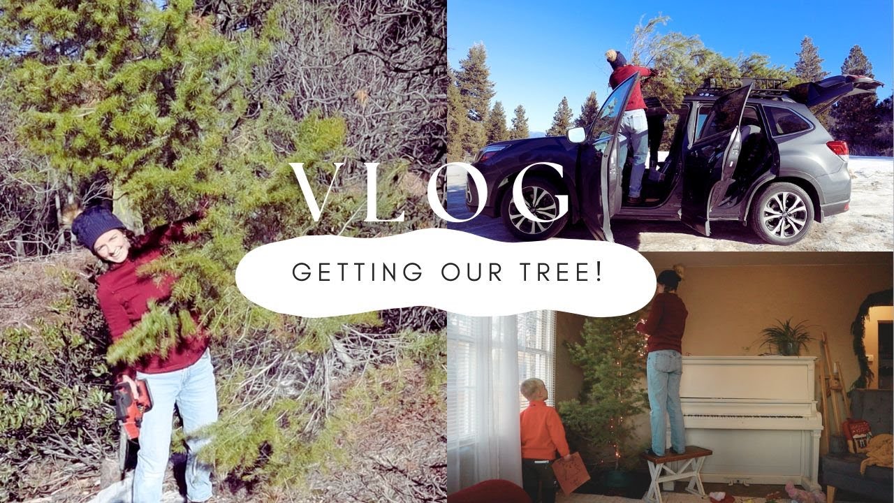 VLOG | Getting Our Christmas Tree! - YouTube