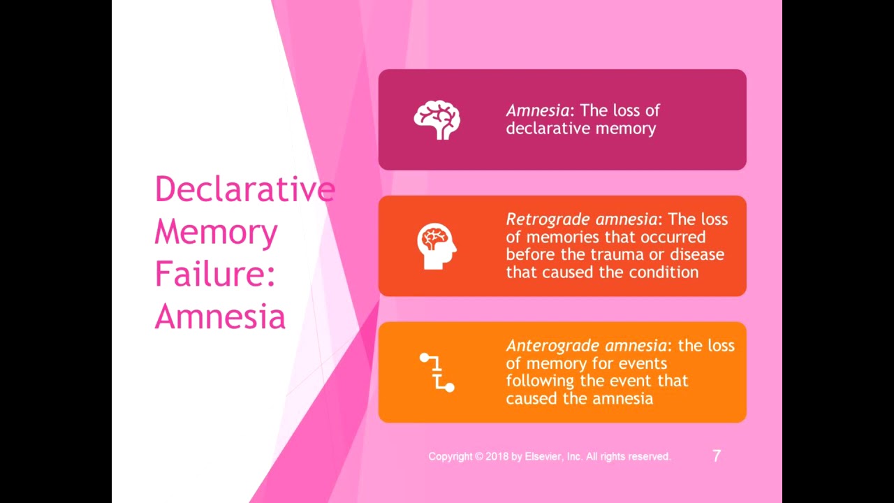 Chapter 27 Lecture Memory and Memory Disorders - YouTube