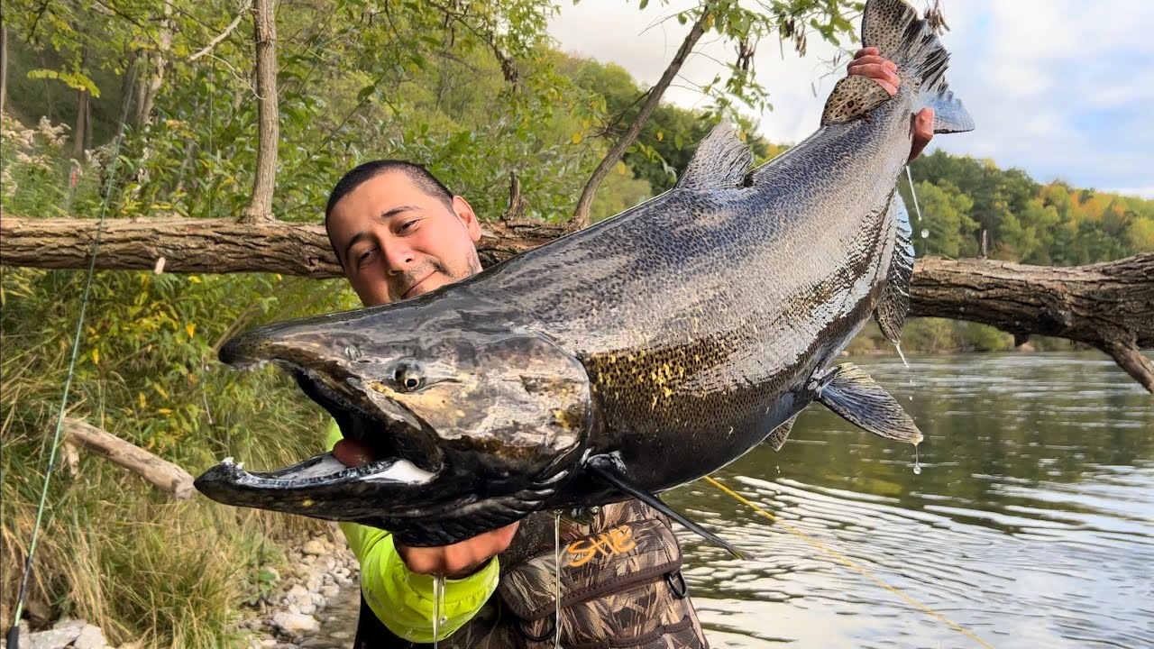 Capturando al pez más grande de un enorme río cristalino - YouTube