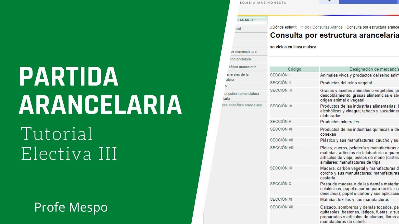 Tutorial Consulta Partida Arancelaria. - YouTube