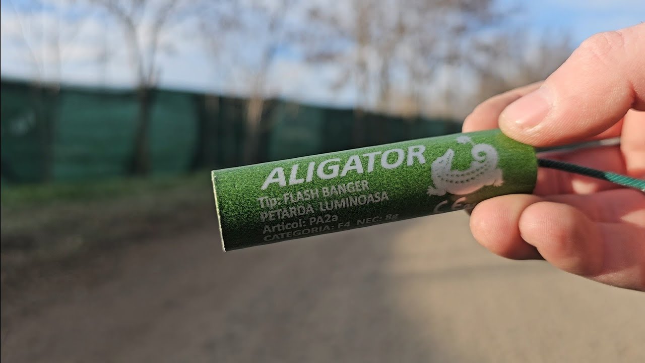 Prezentare Petarde Aligator 8G 🧨💥 - YouTube