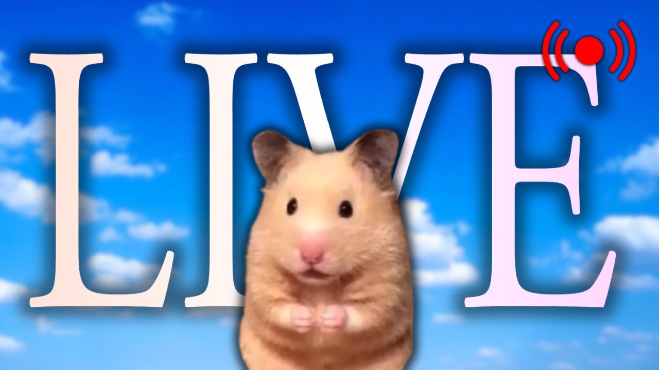 BEANS IS LIVE - YouTube