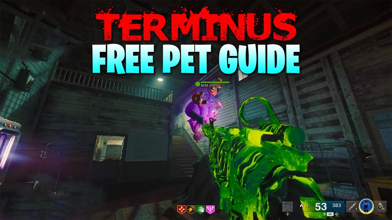 How to get a PET in Terminus (Black Ops 6 Zombies Guide) - YouTube
