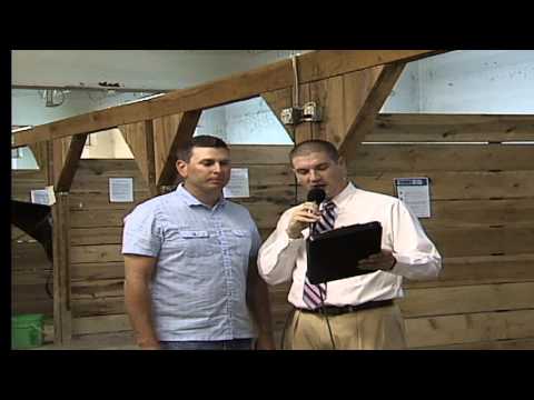 Red Mile Racetrack Tony Alagna - YouTube