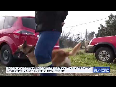 ΔΟΛΟΦΟΝΙΑ ΜΠΑΜΠΗ ΣΤΟ ΜΕΣΟΛΟΓΓΙ: ΣΤΙΣ ΕΡΕΥΝΕΣ ΚΑΙ Ο ΣΤΡΑΤΟΣ - ΕΧΩ ΧΕΡΙΑ ...