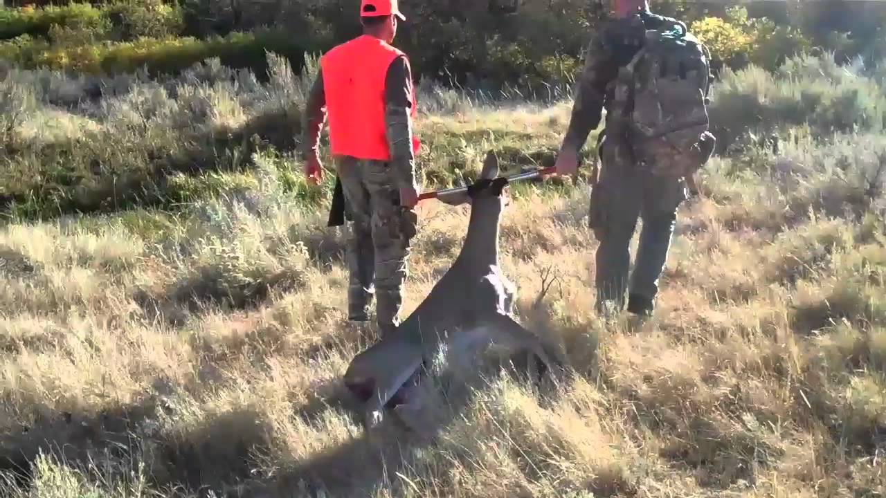 "The Mule" Deer Drag in Action - YouTube