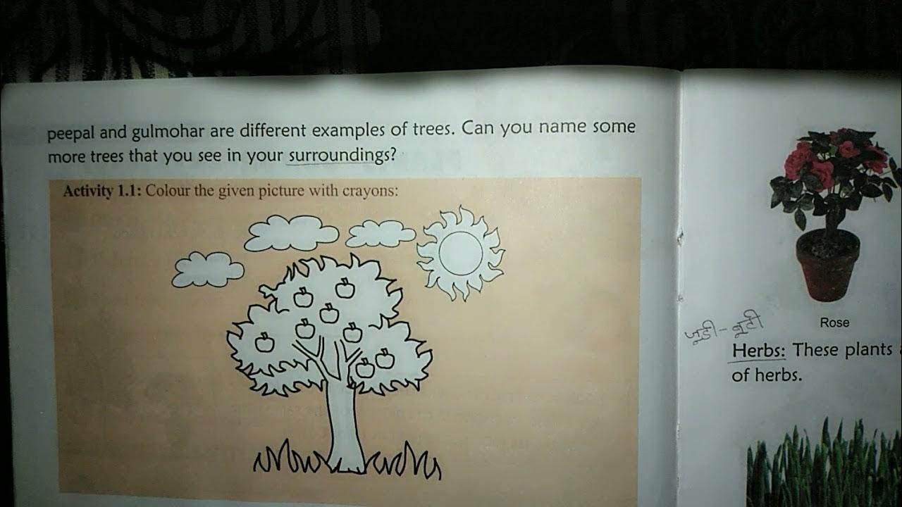 class 1 science unit 1 plant world - plants our green friend - YouTube