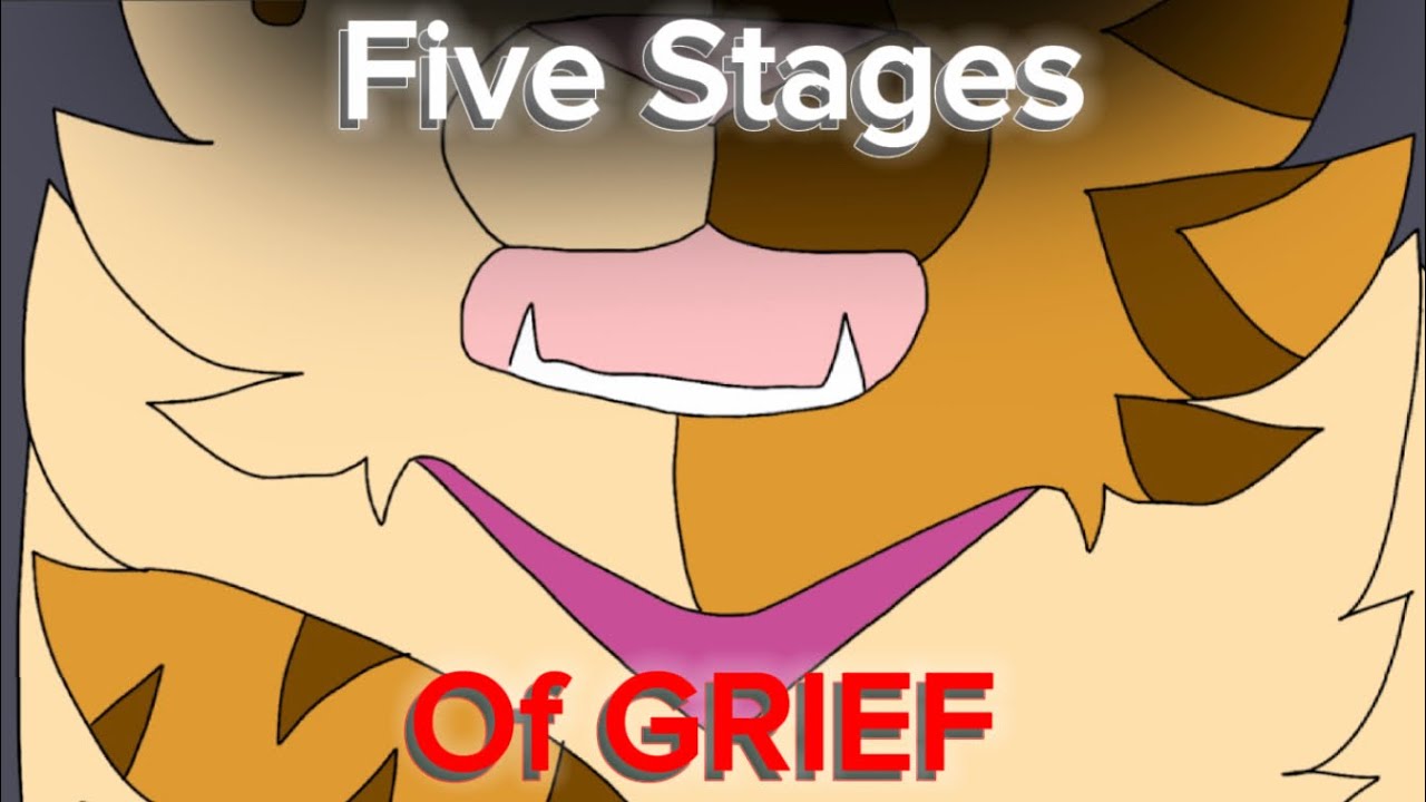 5 Stages Of Grief - Animation Meme - YouTube