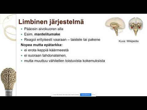 Psykologia 1, aivot 3 - YouTube