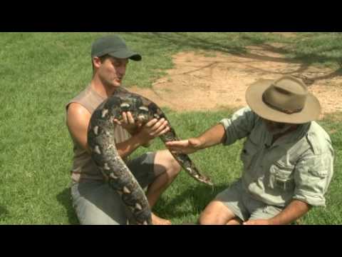 Rob Bredl & Tim Bredl - A snake in the gr-arse! - YouTube