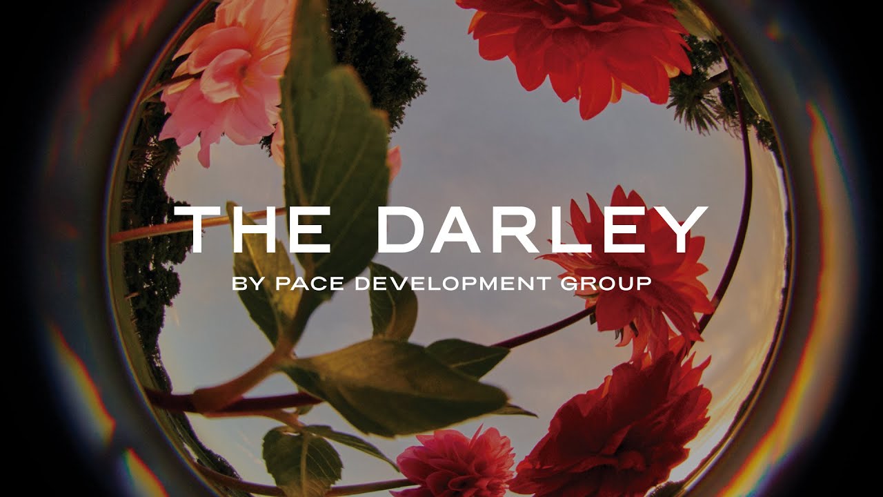 The Darley | A Singular Vision - YouTube