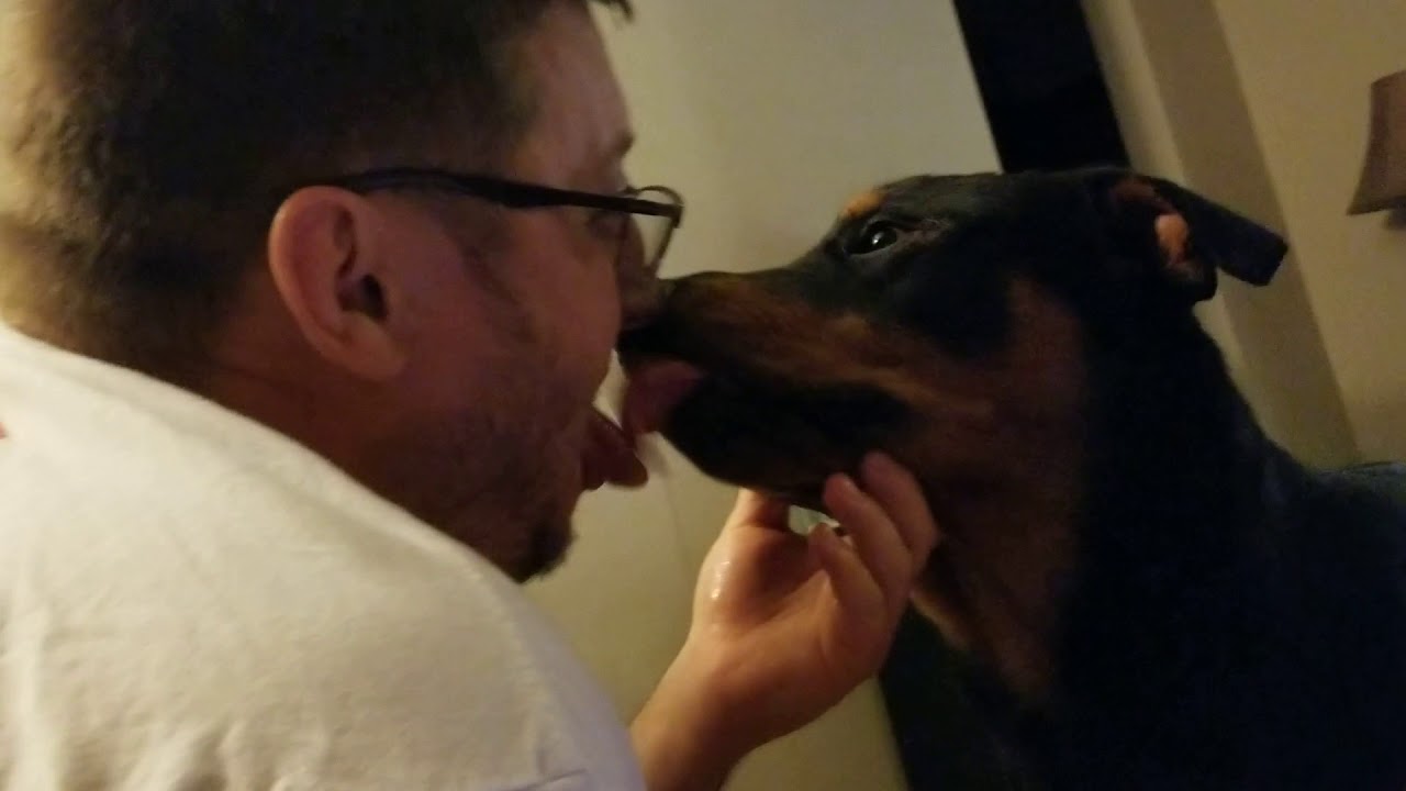 French kissing dog - YouTube