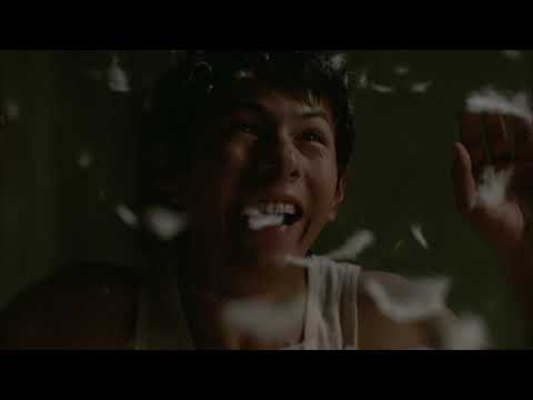 La mitad del mundo (2009) TRAILER OF.