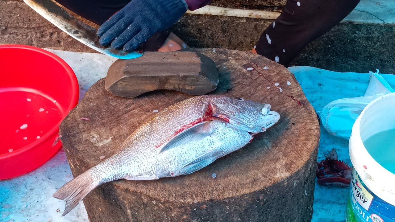 kuruvalai fish cutting - YouTube