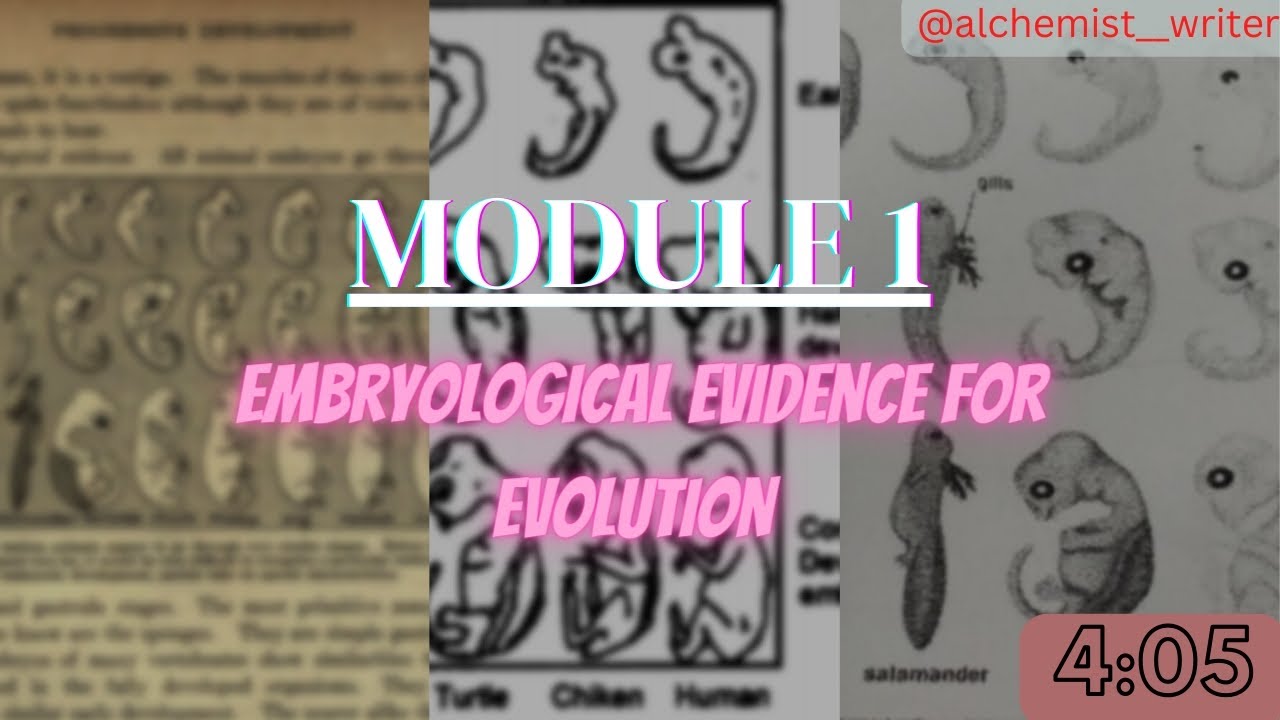 Module 1: Embryological Evidence for Evolution @DrStephenMeyer - YouTube