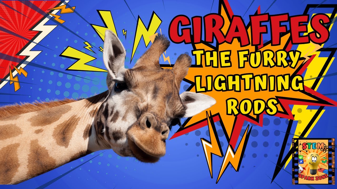 Giraffes: Fuzzy Lightning Rods? | The Tall Tale of Giraffes and ...