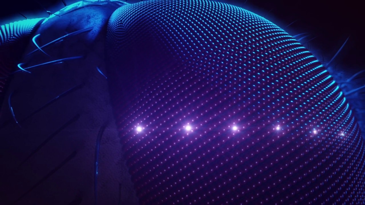 Lumnia LED - Sustainable Fly Control - YouTube