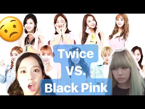 Which BLACK PINK Member Resembles the TWICE Member?