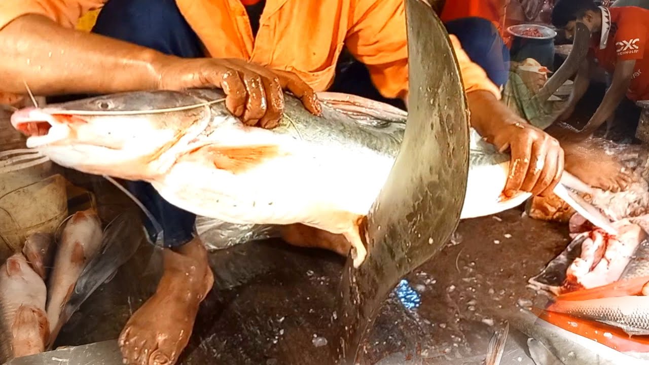 Amazing Ayer Fish Cutting Video | Fish Cutting Skill - YouTube