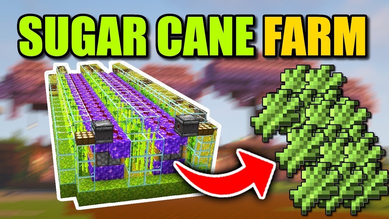Building An AUTOMATIC SUGARCANE Farm in Minecraft 1.20 pt.3 - Minecraft ...