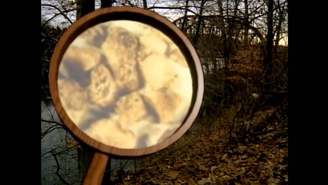 Forensic Files - The Disappearance of Helle Crafts - YouTube